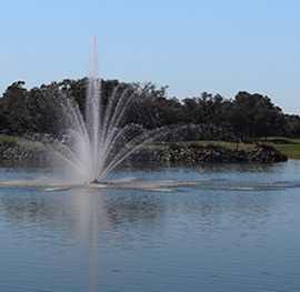 Timber Pines Community Association Home - Timber Pines Community ...